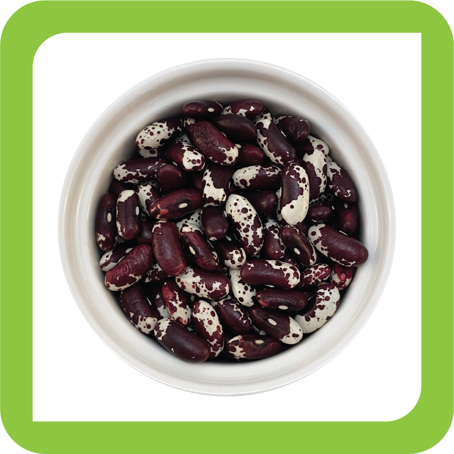 What Are Plant Proteins? - HealthPartners