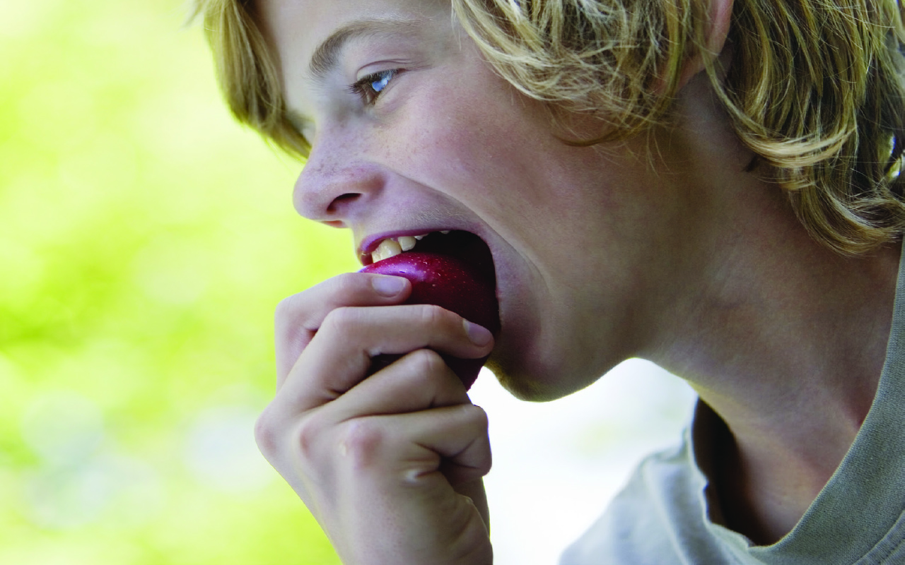 Test Your Taste Buds - HealthPartners