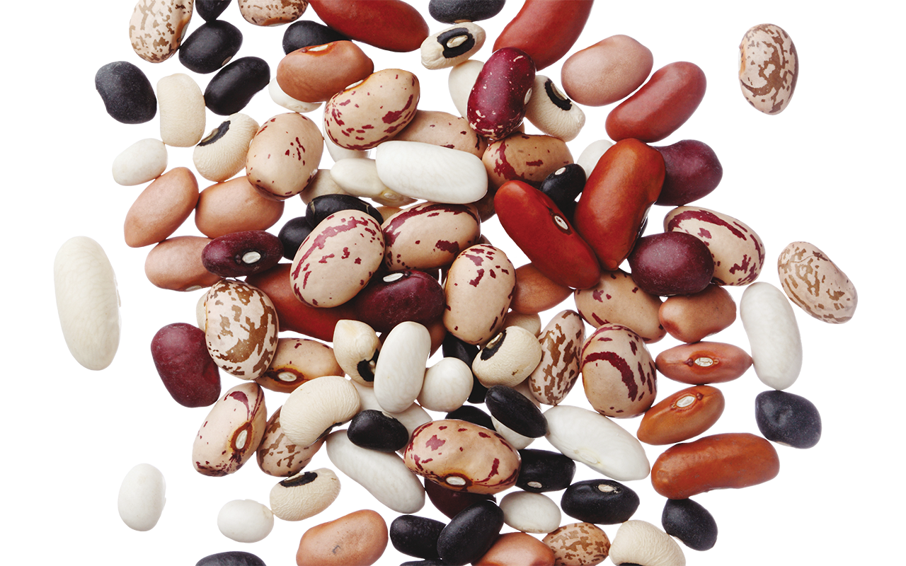 Plant-Based Recipes - HealthPartners